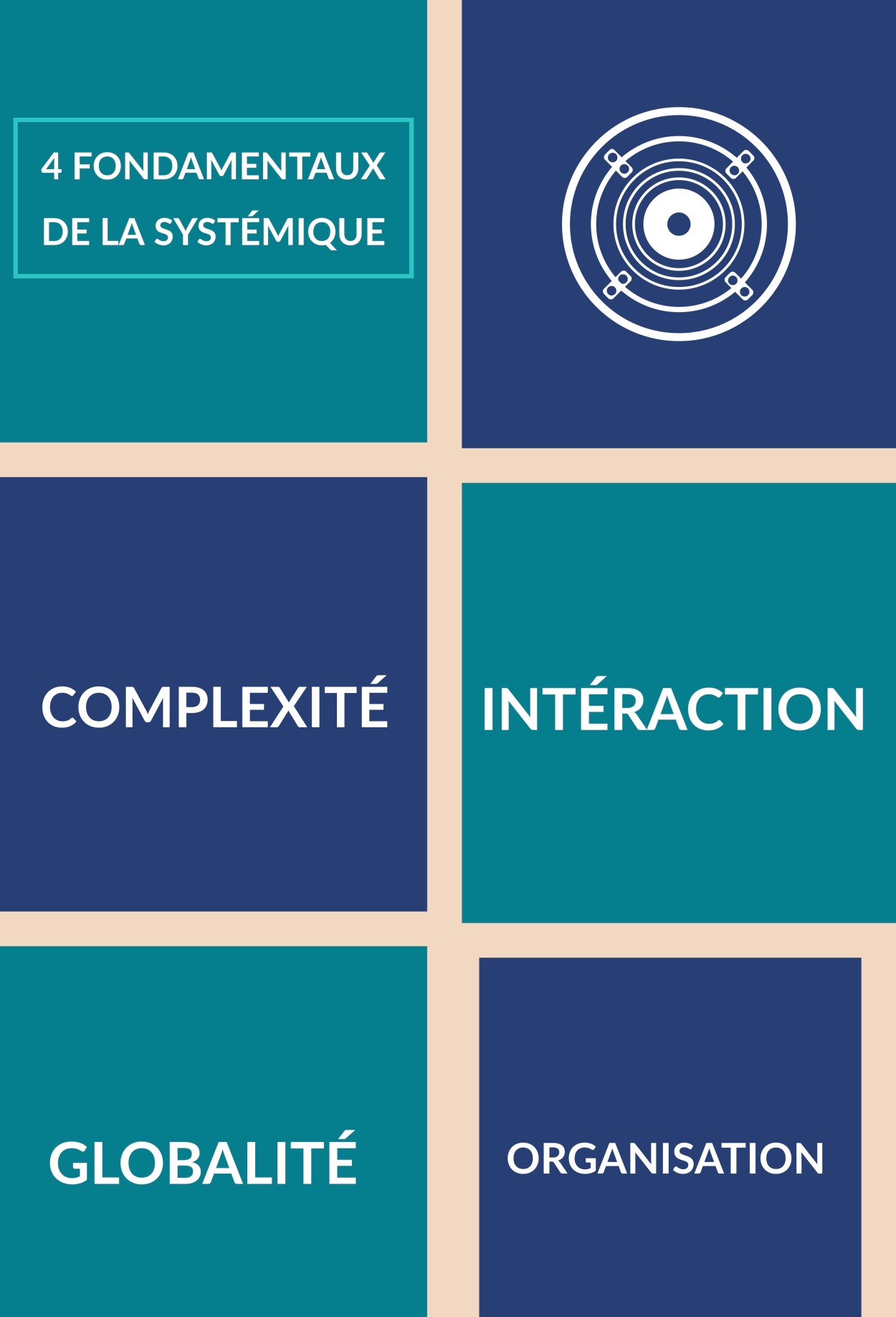 Vous êtes dans la systémique. Les 4 fondamentaux. | Guillaume BOUTE